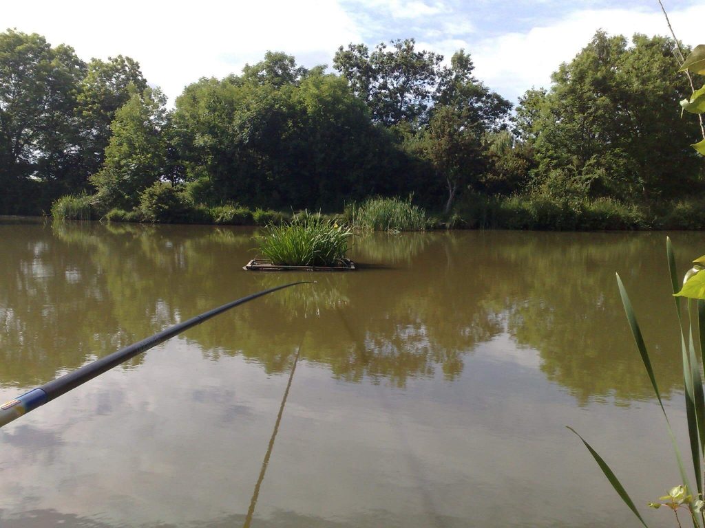 Moulton Lane Pond – Fishing spot